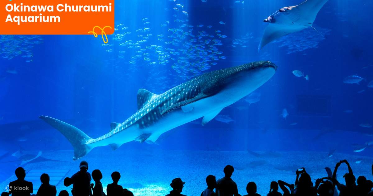 Klook Okinawa Multi Attractions Pass [Bundle & save!] - Klook